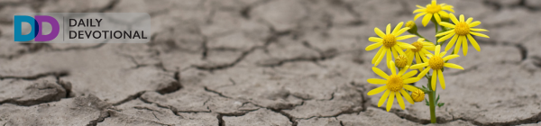 Sleep Retraining – Glade Church